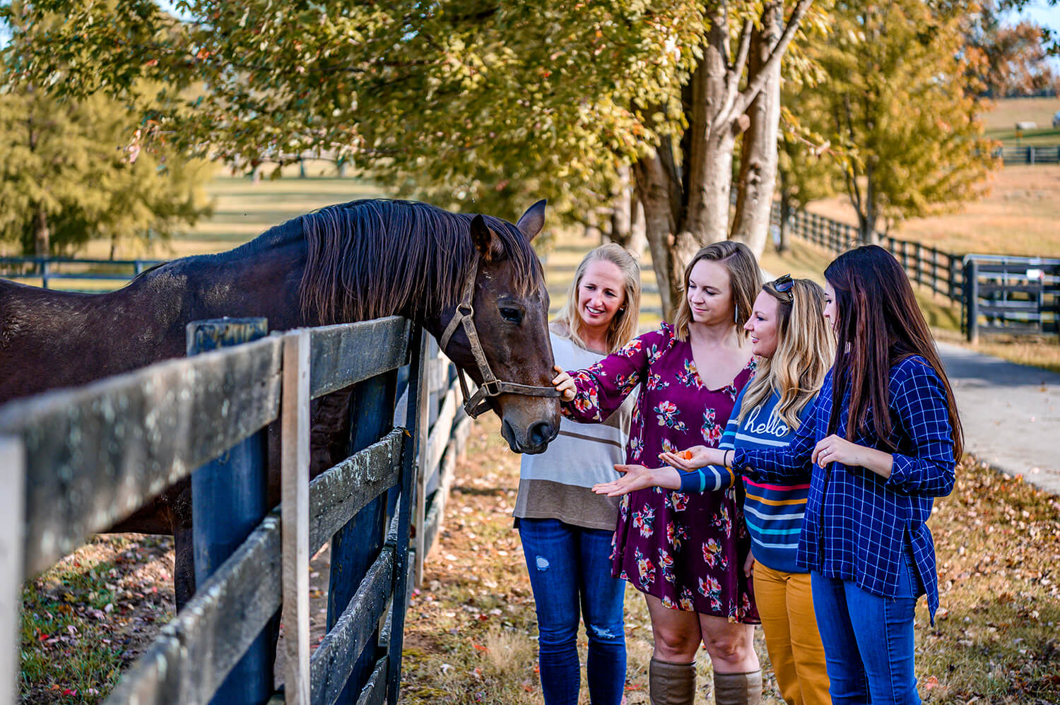 Visitors – Best of the Bluegrass – Festival of the Horse